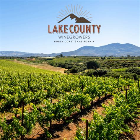 International White Wine Festival Winery Events
