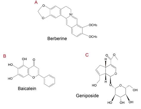 The Chemical Structure Of Berberine Baicalin And Geniposide Download Scientific Diagram