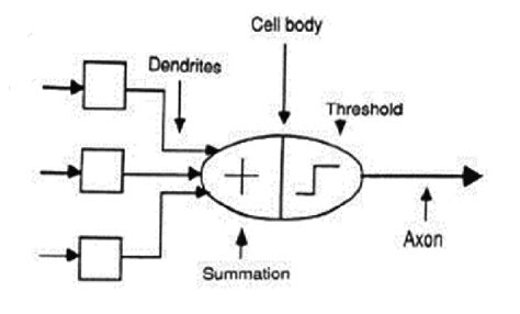 Artificial Neuron Model [1] Download Scientific Diagram