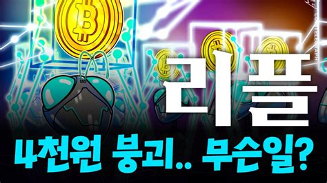 리플코인 리플 리플대응 리플전망 리플코인전망 리플변호사 리플관련주 리플매수가 리플매도 엑스알피 Xrp Youtube