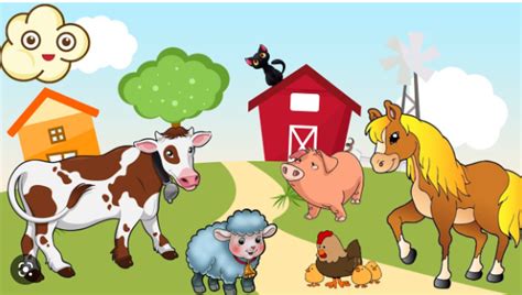 ცხოველების შესახებ პროექტის შსახებ