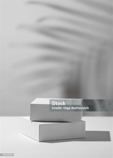 제품을 위한 빈 연단 야자수 잎 그림자가 있는 밝은 배경에 두 개의 흰색 상자를 최소화합니다 무대에 대한 스톡 사진 및 기타
