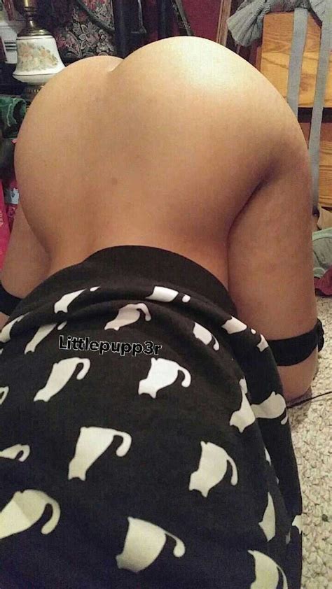 Bent Over Oc Porn Pic