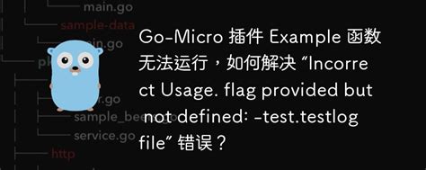 Go Micro 插件 Example 函数无法运行，如何解决 Incorrect Usage Flag Provided But Not