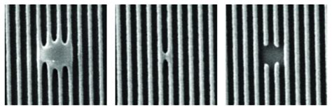 Examples Of Photolithography Faults In Idt Structure Download