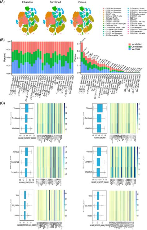 The Single Cluster Of Pbmcs In Variable Anaesthetics A Single‐cell