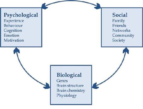 Figure 1 From The Self Reinforcing Feedback Loop Semantic Scholar