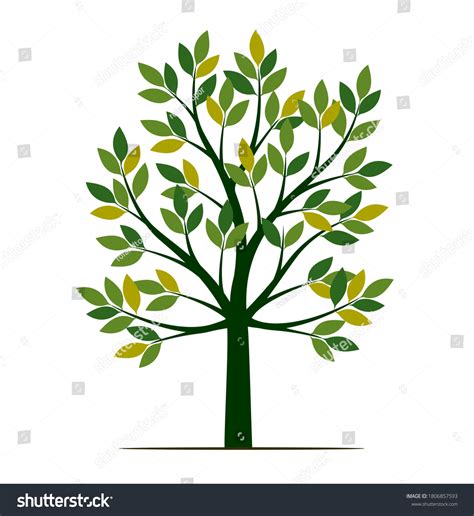 Shape Tree Leaves Roots Vector Outline Stock Vector Royalty Free 1806857593 Shutterstock