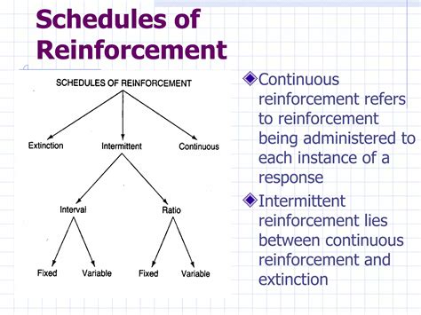 Schedules Of Reinforcement Aba Therapy Activities Applied Behavior Analysis Training