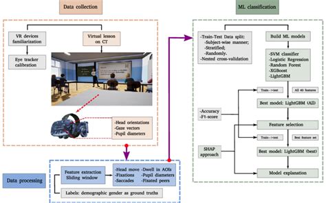 The Ml Approach For Gender Prediction In Ct Development In The Download Scientific Diagram