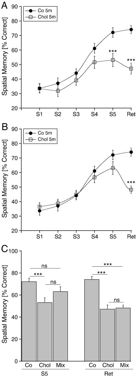 Spatial Memory As Tested In The 8 Arm Radial Maze Of Rats Treated With