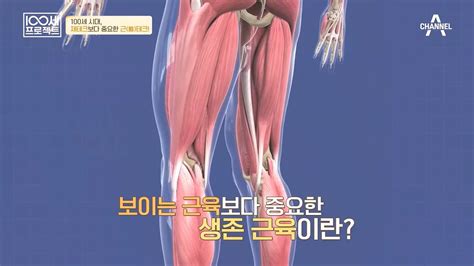 나의 온 몸이 아픈 이유 노인병 증후군♨ 건강해지기 위해서는 근육 관리가 필수적 100세 프로젝트 98 회 Youtube