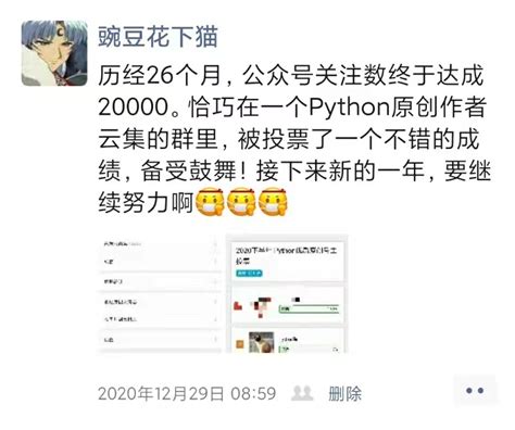 2020年python文章盘点，我选出了个人top10 豌豆花下猫