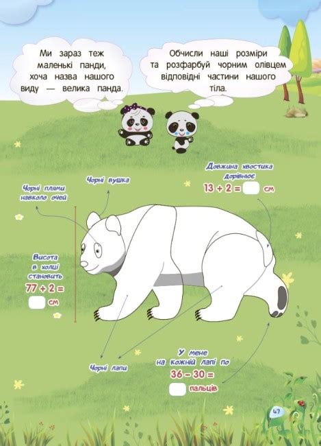 Літній зошит Незвичайні літні математичні пригоди 1 клас українською мовою Магазин дитячих