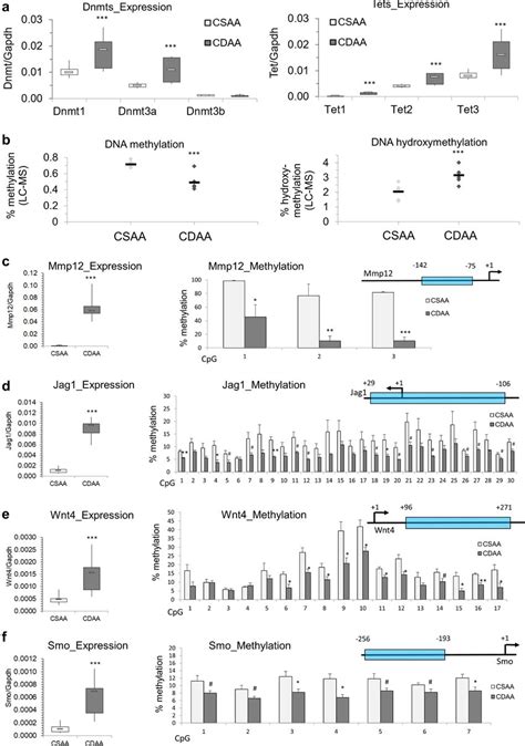 Dysregulation Of Dna Methylating And Demethylating Enzymes And Dna