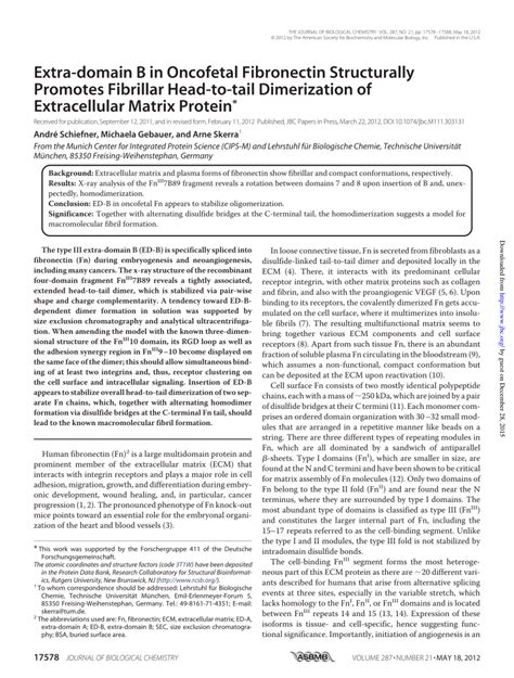 Pdf Extra Domain B In Oncofetal Fibronectin Structurally Promotes Fibrillar Head To Tail