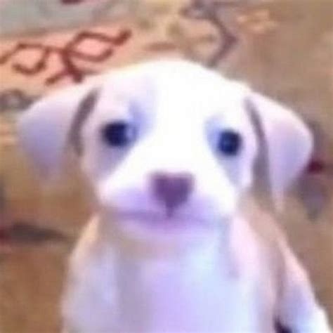 Matheus Brito Youtube