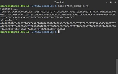 Parsing A FASTA File In Python Glarue Github Io
