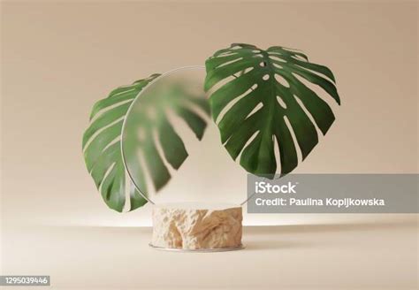 녹색 몬스터 야자수 잎과 돌 3d 연단 바위 디스플레이 베이지 색 배경 둥근 유리 테두리 프레임 미용 화장품 프로모션을 위한 받침대 스탠드 이국적인 자연 정글 추상 3d