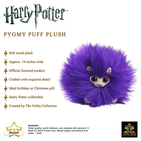 How To Take Care Of A Pygmy Puff At Willy Booth Blog