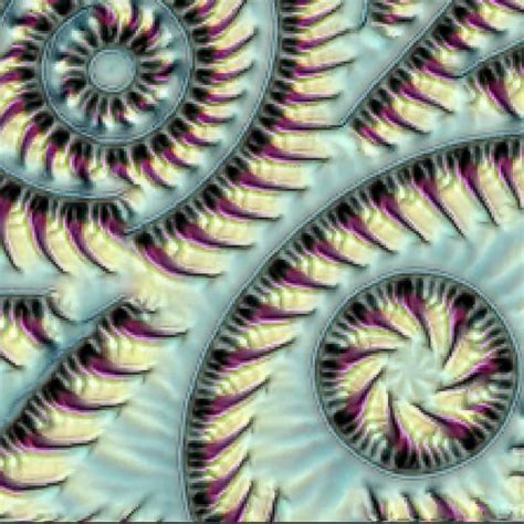 Membrane R Cellular Automata