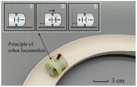A Dielectric Elastomer Actuator Driven Vibro Impact Crawling Robot