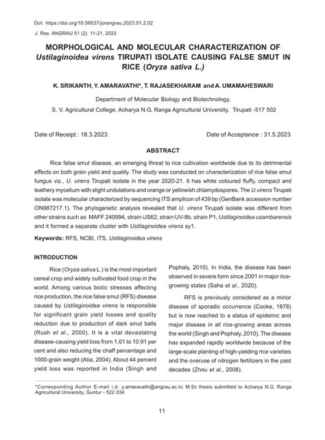 Pdf Morphological And Molecular Characterization Of Ustilaginoidea