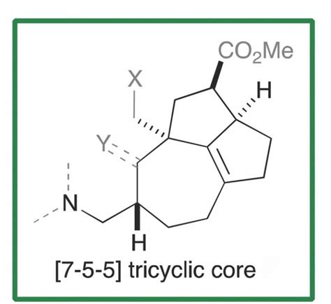 Novel Route To The [7 5 5] Tricyclic Core Of Daphniphyllum Alkaloids Organic And Biomolecular