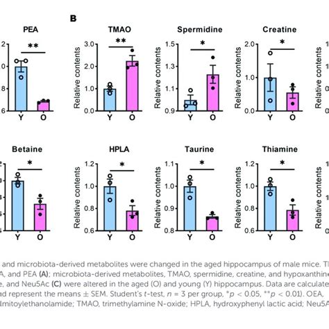 Rna Seq Analysis Of The Differential Expressional Genes Enriched In