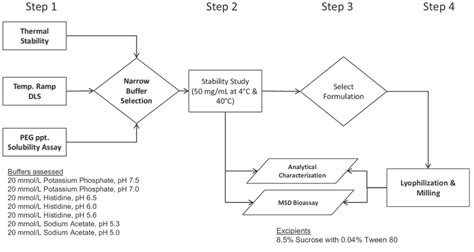 Steps Involved In Preformulation Buffer Selection Formulation And Download Scientific Diagram