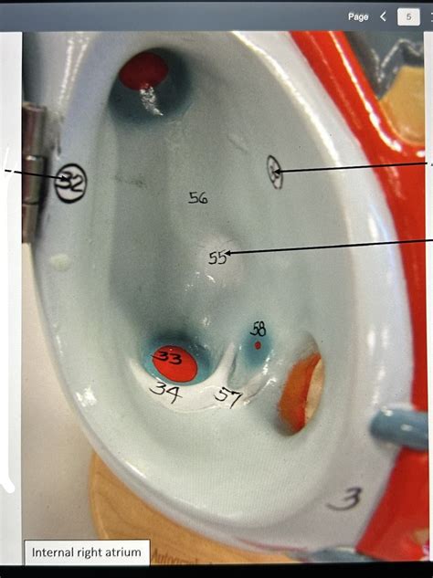 A P2 Practical 1 Lab 3 Slide 10 Diagram Quizlet