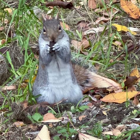 Lunch Break Dan Karran