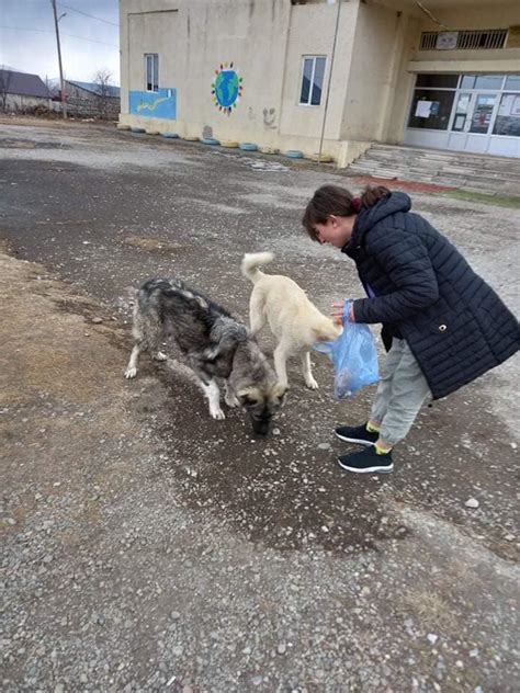 ეკოკლუბი გუმბათი დახმარების თათი
