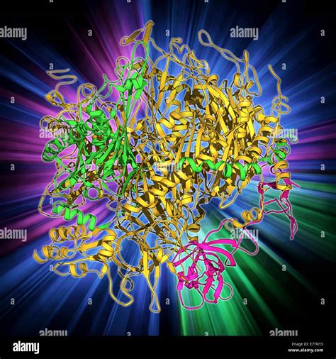RNA Exosome Complex Molecular Model This Multi Protein Complex Functions To Break Up Strands