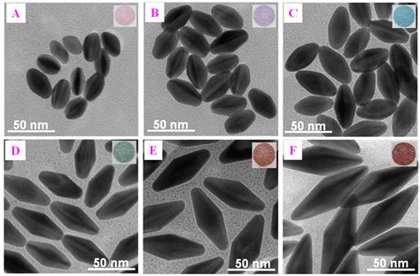 A Paper Based Multicolor Colorimetric Aptasensor For The Visual Determination Of Multiple