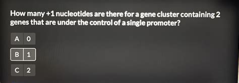 Solved How Many 1 ﻿nucleotides Are There For A Gene Cluster
