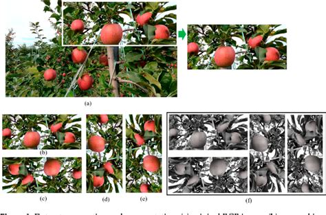 Figure 3 From Recognition And Counting Of Apples In A Dynamic State Using A 3d Camera And Deep