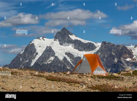 Backpacking Tent At Camp Kiser Along The Ptarmigan Ridge Trail With Mt Shuksan Towering Behind