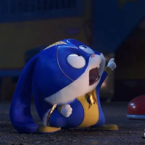 Ghim Của 夢想兔 Trên 寵物當家（雪球兔） Đang Yêu Mèo Hình ảnh