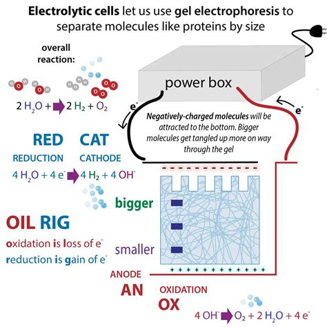 Electrolytic Cell Types Of Electrochemical Cell And Electrolytic Cell