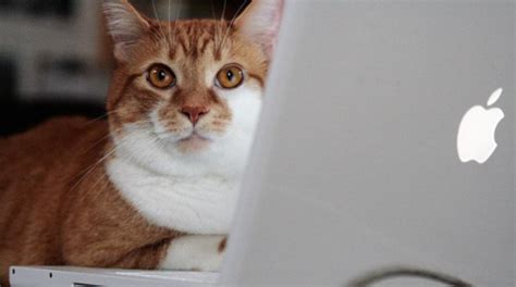 Excelling With Excel 1 Custom Functions Using Vba Aiche