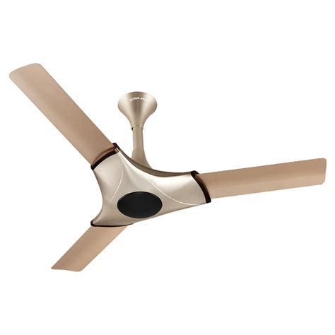 Bajaj Esperanza Designer Ceiling Fan At ₹ 4999 Piece Bajaj Ceiling Fans In New Delhi Id