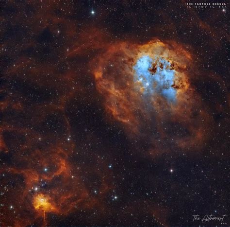 The Tadpole Nebula Hoo Astrobin
