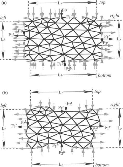 Figure 7 From An Elastic Network Model Based On The Structure Of The