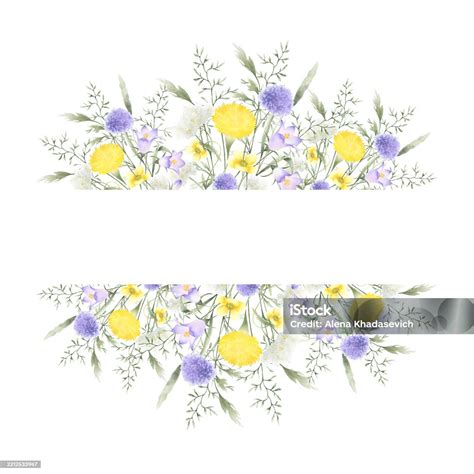 야생화 도라지 민들레 톱풀 초원 풀 손으로 그린 고립 수채화 사각형 프레임의 노란색 라일락 필드 꽃은 초대장 엽서 인증서에 대 한 복사 공간을 가지고 있습니다 개화기에 대한
