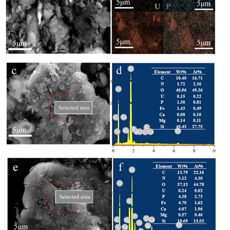 Content Of Simulated Groundwater Sediment Download Scientific Diagram