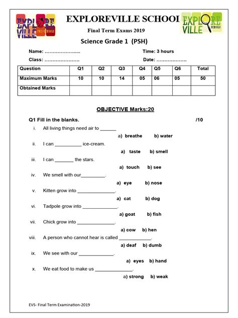 Nad Sci Final Term Pdf Senses