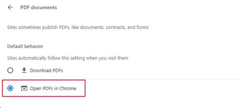 PDF Not Opening In Chrome Browser 8 Solutions