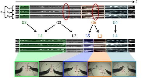 The Schematic Shows The Augmented State Vector N T X X X X Download Scientific