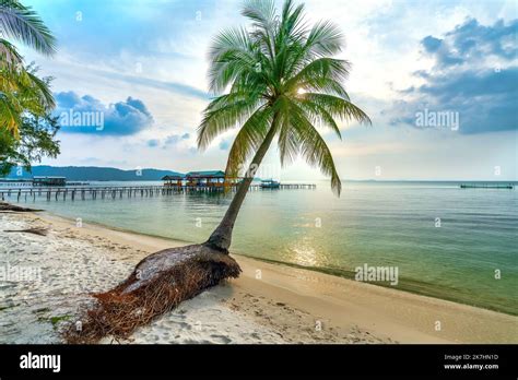 Tropical Beach With Palm On Beautiful Sandy Beach In Phu Quoc Island